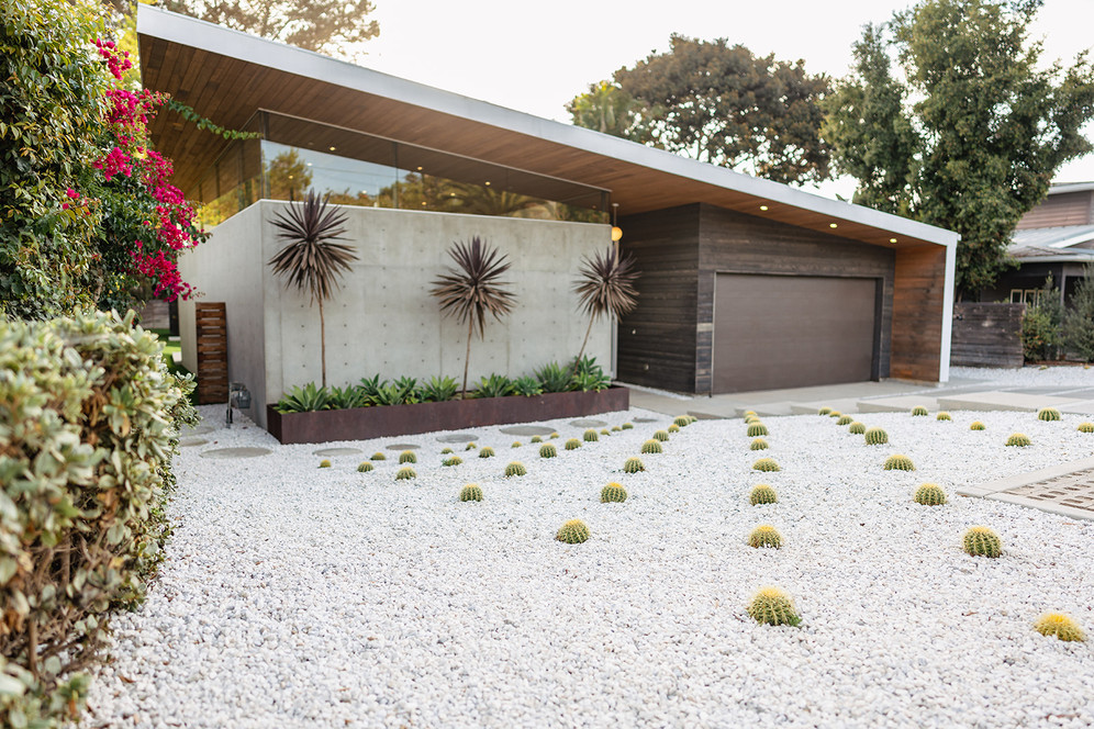 MCM Avocado | Brookside Landscape Design