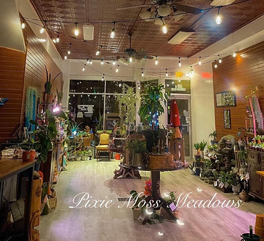 Garden | Pixie Moss Meadows | Corning