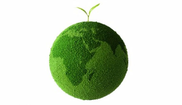 4 Ways You Can Re-Green Planet Earth