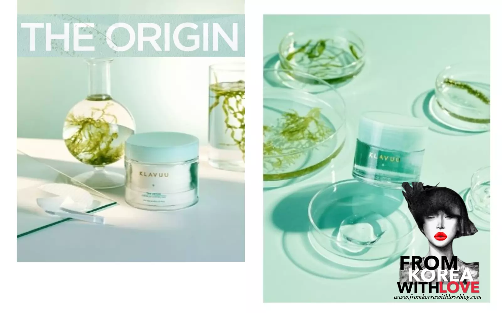 Extracto de Perla Coreana: La Clave Detrás del Éxito de Klavuu | From ...