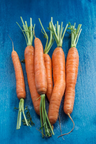 Organic Loose Carrots | Native Eats
