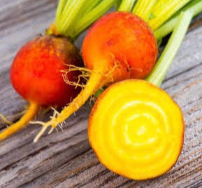 Organic gold beets | Native Eats