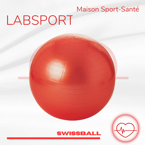 Swissball - LABSPORT | Mark Me All 76