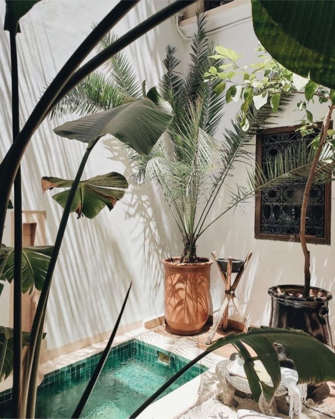 MAISON MAGNOLIA | Vêtements pour femmes | Boutique à La Réunion - Saint ...