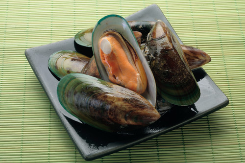 Greenlip Mussels, Half-Shell | American Fish