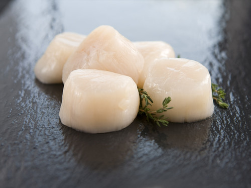 Domestic Sea Scallops | American Fish