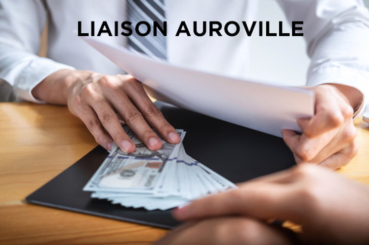 Government Liaison Explained: Auroville