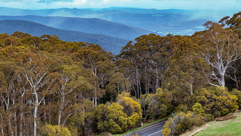 Warburton | Warburton Valley