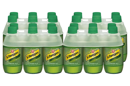 Schweppes Ginger Ale 10oz/296ML 24 Pack | Blackbeard's
