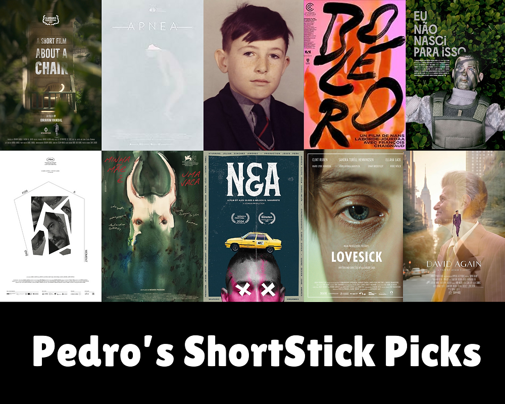 Pedro's ShortStick Picks 2024