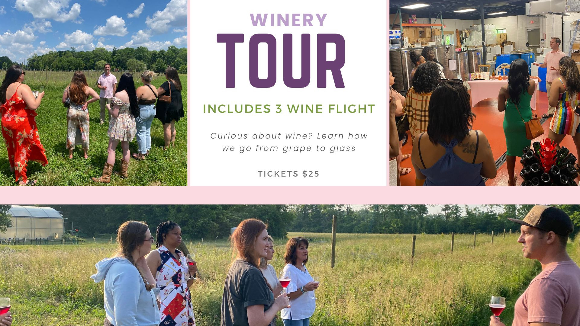 Winery Tour + Tasting | The Rejoicing Vine Winery