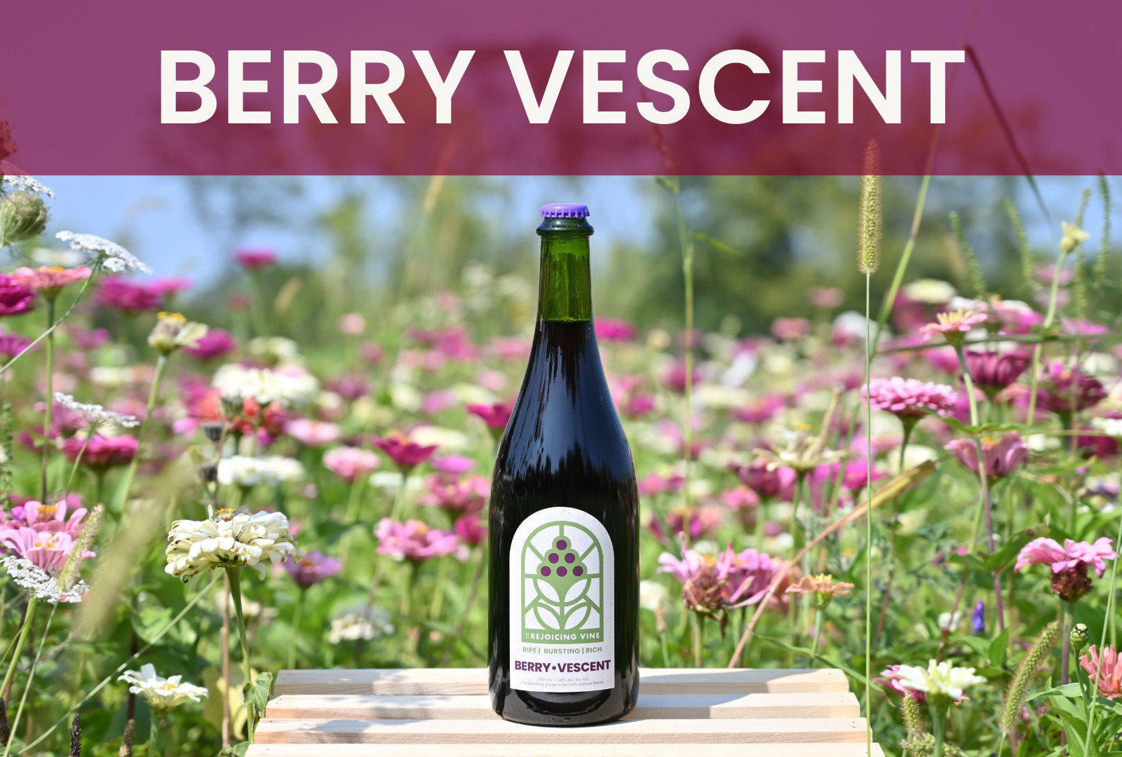 Berry-Vescent