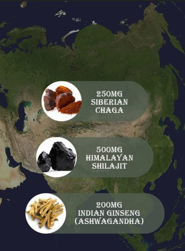 SHILAJIT GUMMIES PLUS | Shaolin TCM Ireland