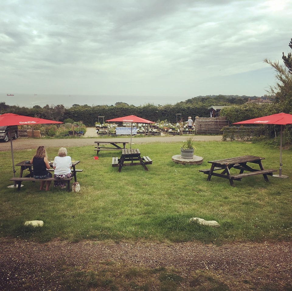 HUNGRY BEAR, SOLENTVIEW CAFE | fakenhamfarm