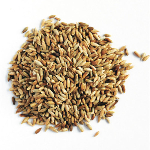 Trigo Entero | Supli Hongos