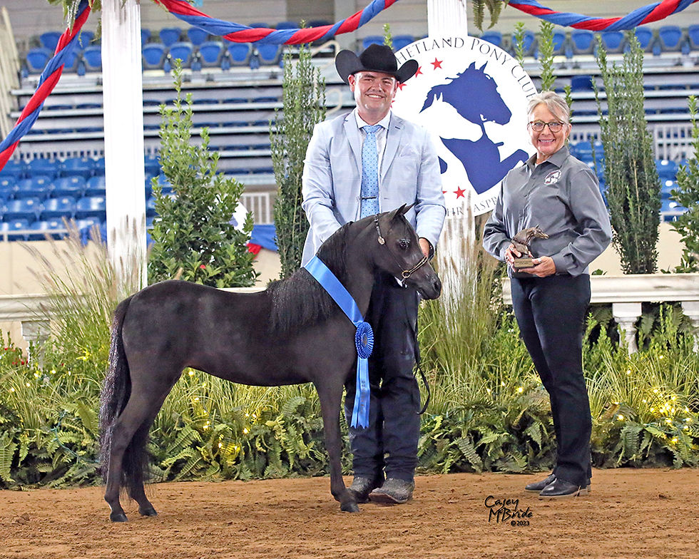 Our Queens | Crown Ranch Miniature Horses | Montgomery, TX
