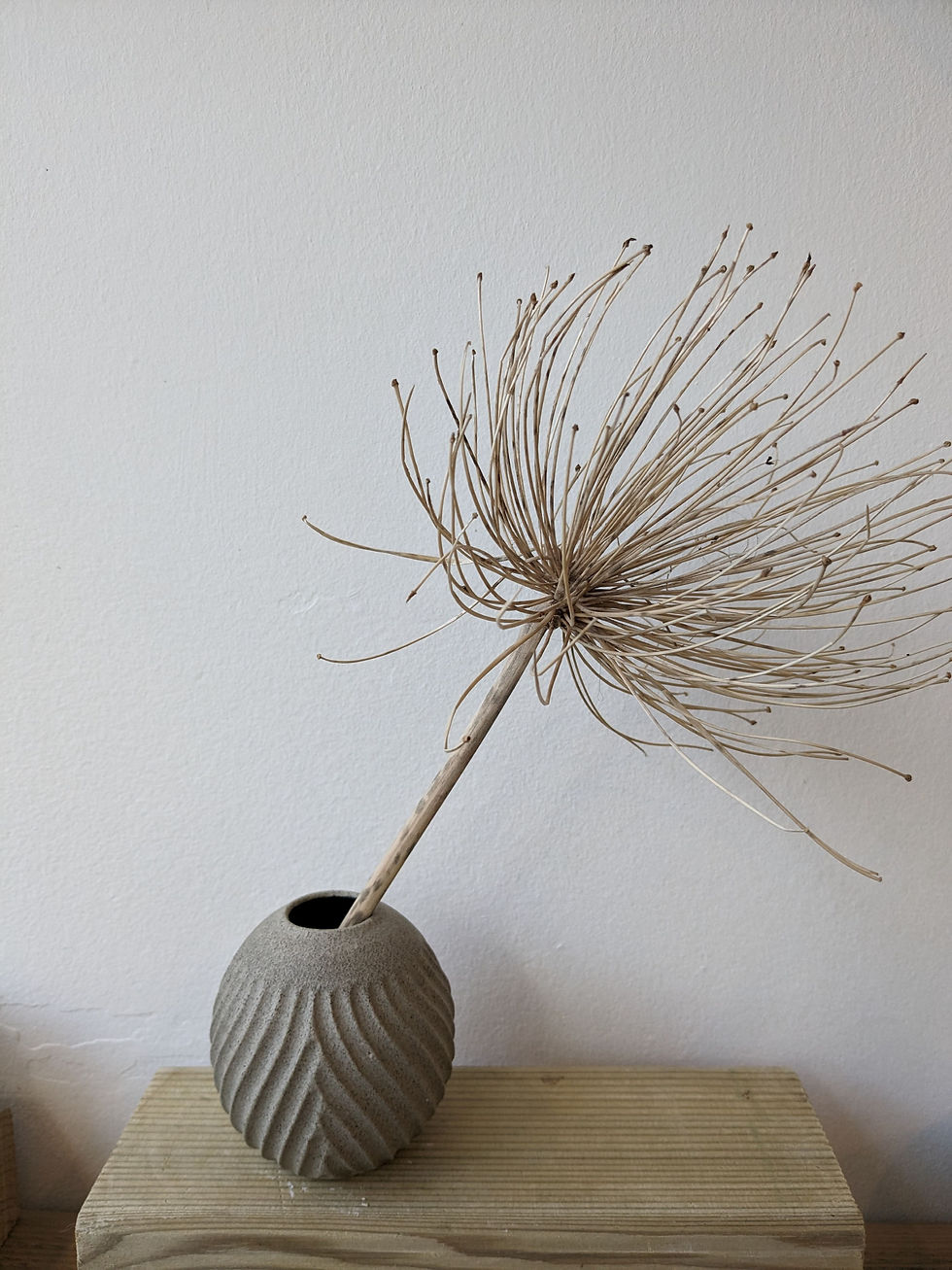 Shop | Sarah Sullivan