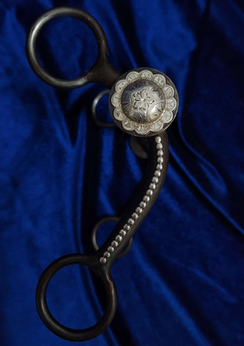 Sterling Show Bit by Gordon Hayes | Vibrantly Vintage