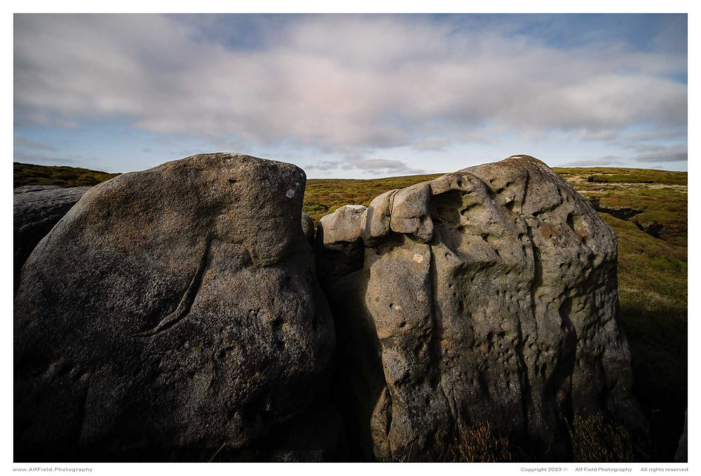 Alf Field/ 101 contemporary artists and more... VOL4