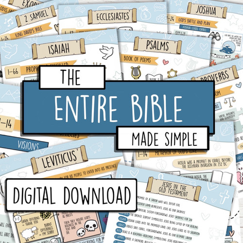 The Entire Bible Bundle | Scribble & Scripture