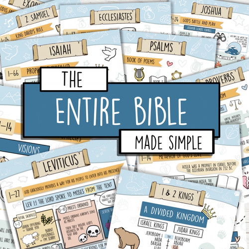 The Entire Bible Bundle | Scribble & Scripture