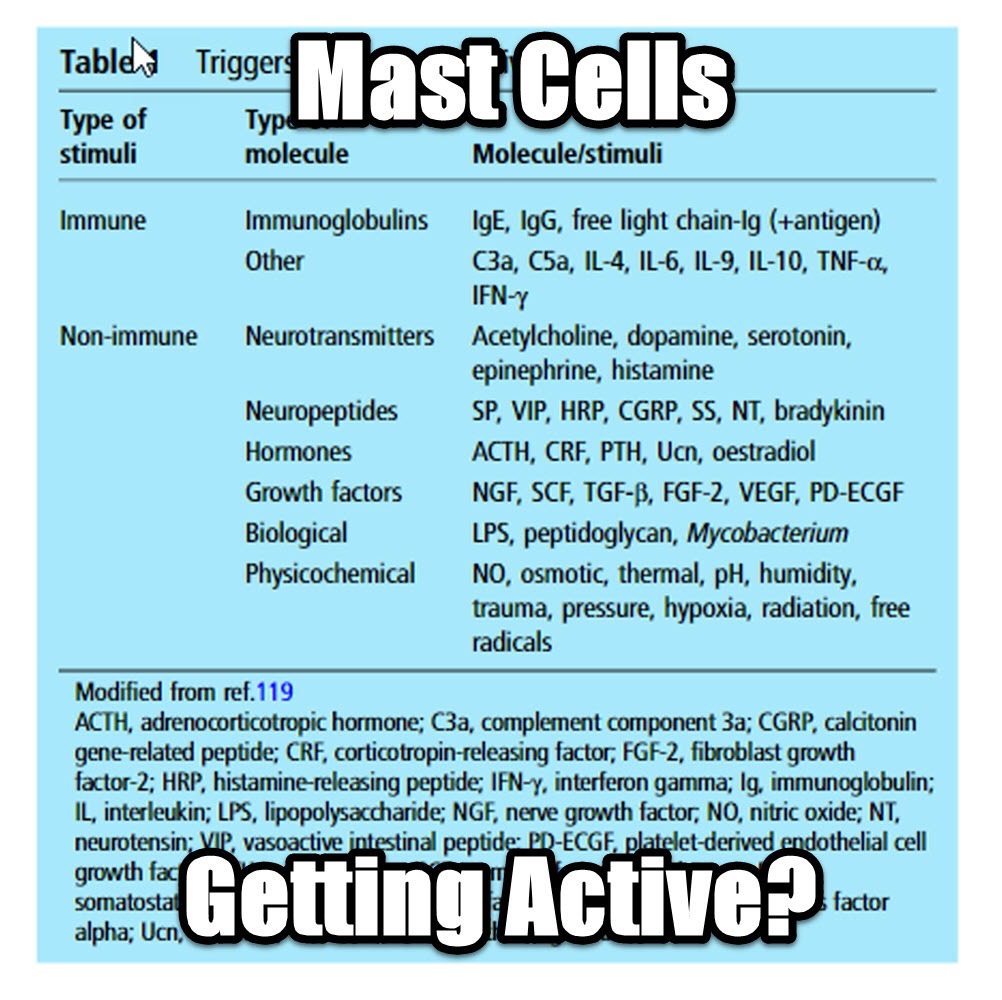 Mast Cells Getting Active