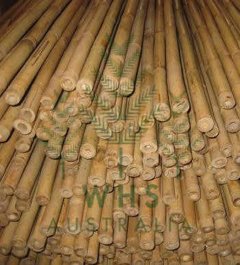 Bamboo Tree Stakes | TASCO