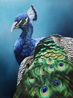 Wildlife Artist | Carla Grace Art