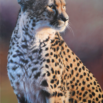 Wildlife Artist | Carla Grace | Store
