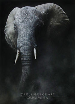 Wildlife Artist | Carla Grace Art