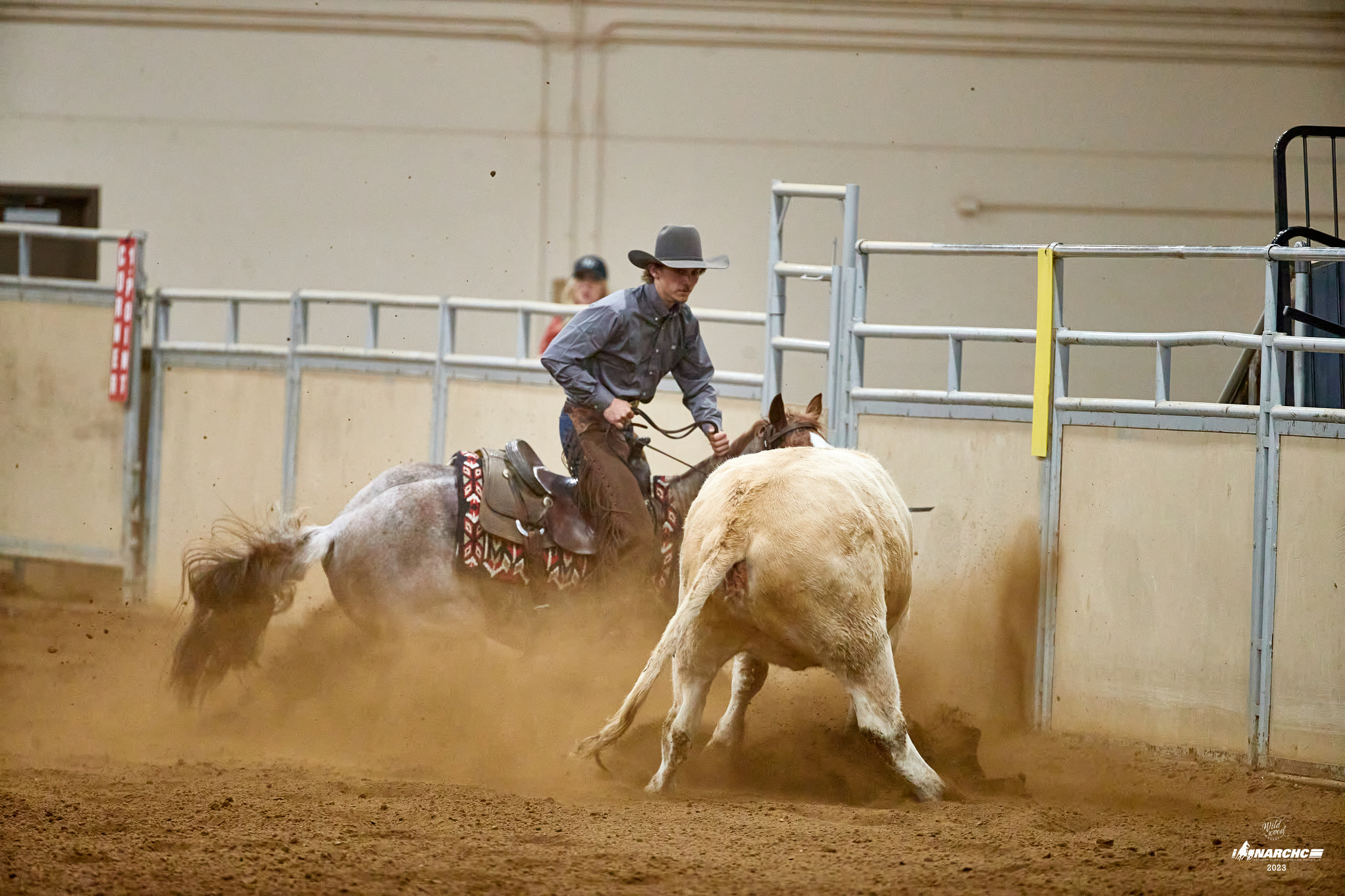 Bar TT Cowhorse develops prospects for Working Cow Horse competition