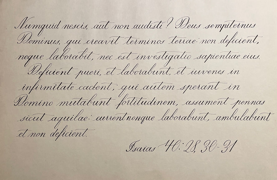 Calligraphy | Homeschool Omnibus