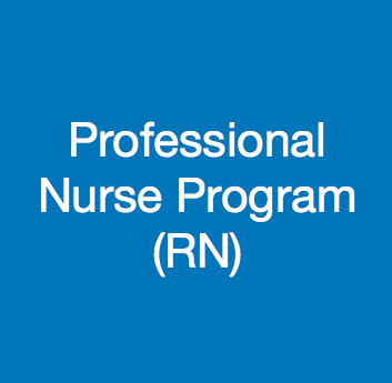 Professional Nurse Program (RN) | E3 Educational Servi