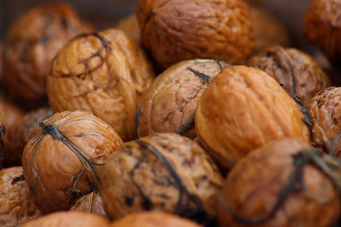 Home | Walneut | Drogen en wassen okkernoten | Alken, België