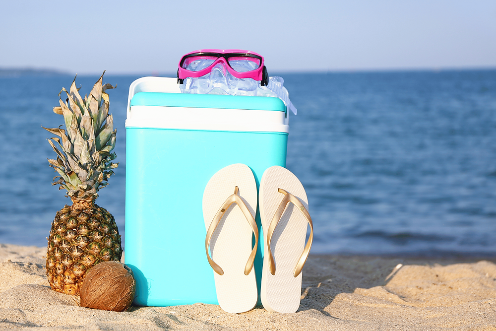 Hold Onto Your Fingers: Igloo Recalls Over 1 Million Coolers for ...