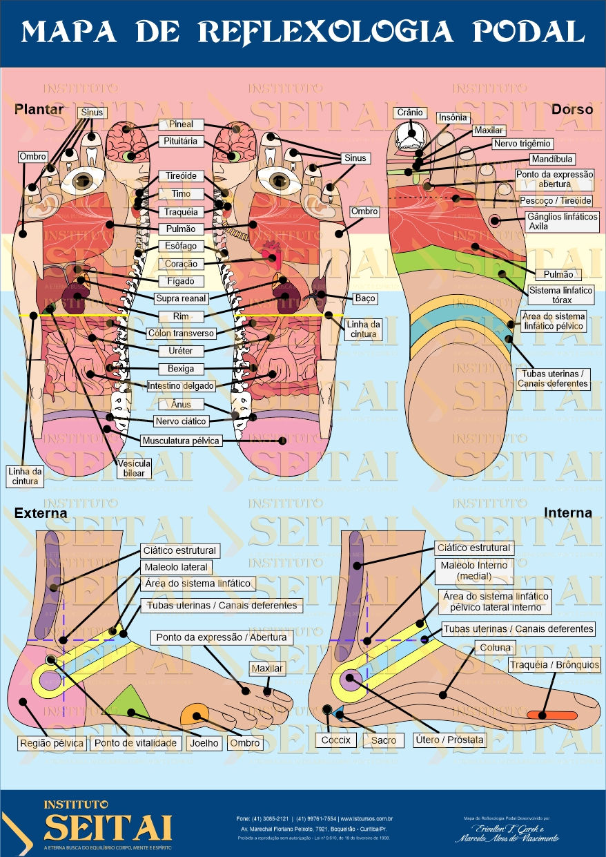 Mapa de Reflexologia Podal | instituto seitai