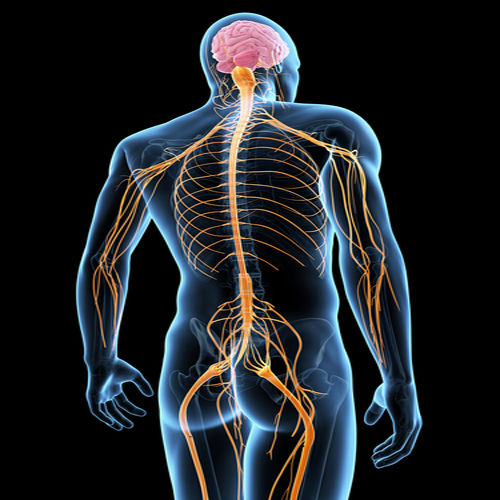 What is Neural Tension?