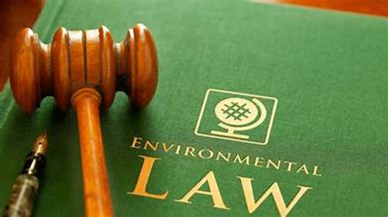 Decoding the Foundational Principles of Environmental Law