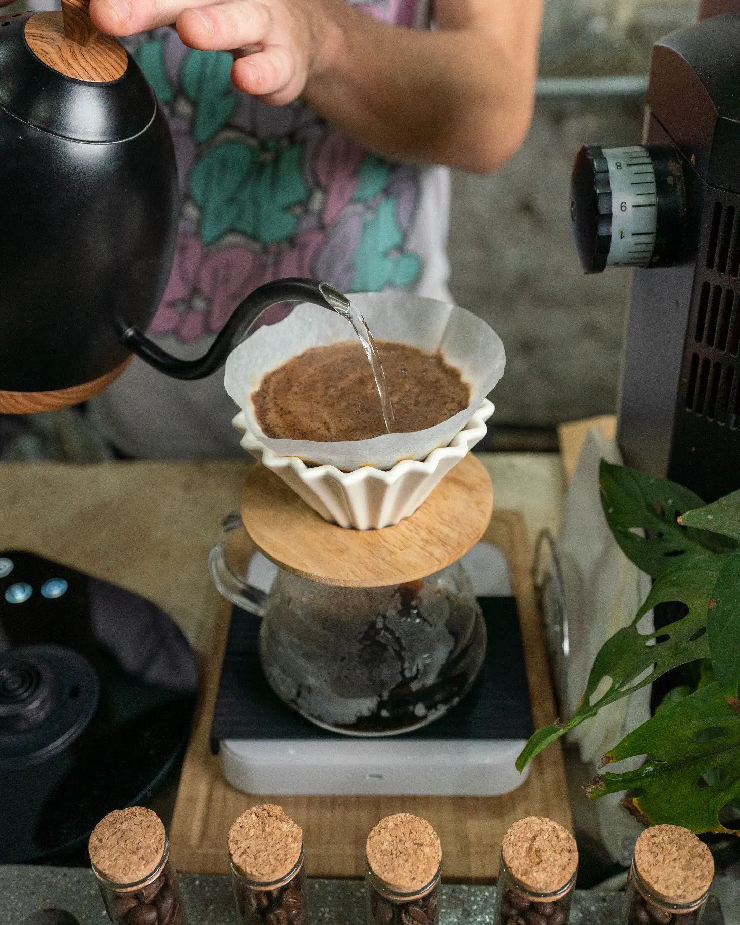 Chacho's Online coffee shop | Pick yours now