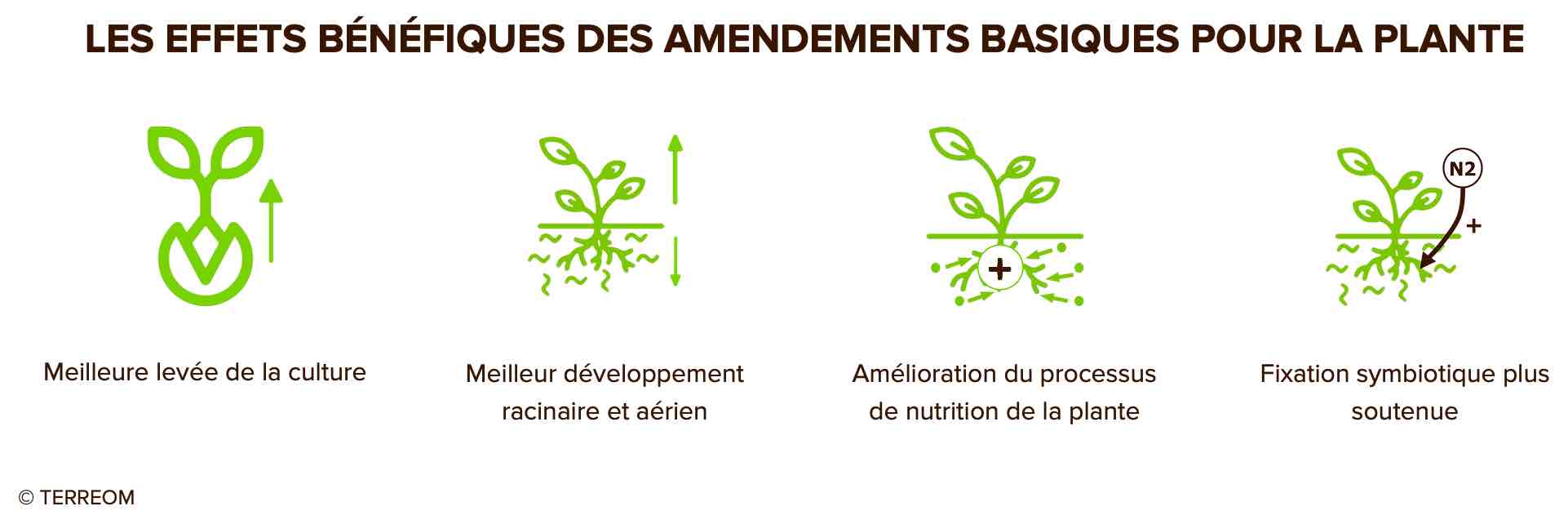 PH du sol : Savoir Contrôler son acidité | TERREOM