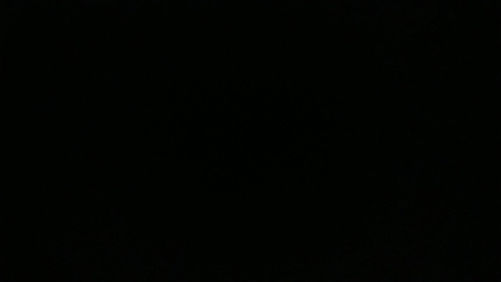 3D Generalist - Ray Yuting Yan