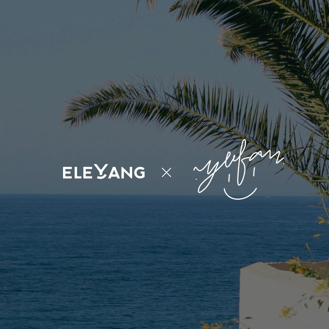 ELEYANG x Yufan联名手帐体 | ELEYANG