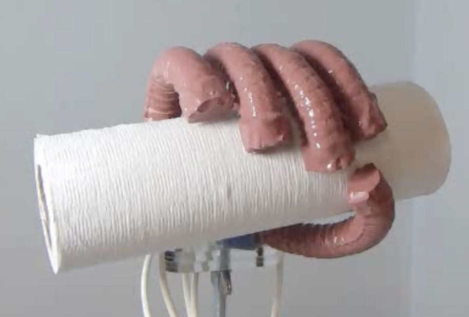 Bioinspired | Cambridge | Harvard Microrobotics Laboratory