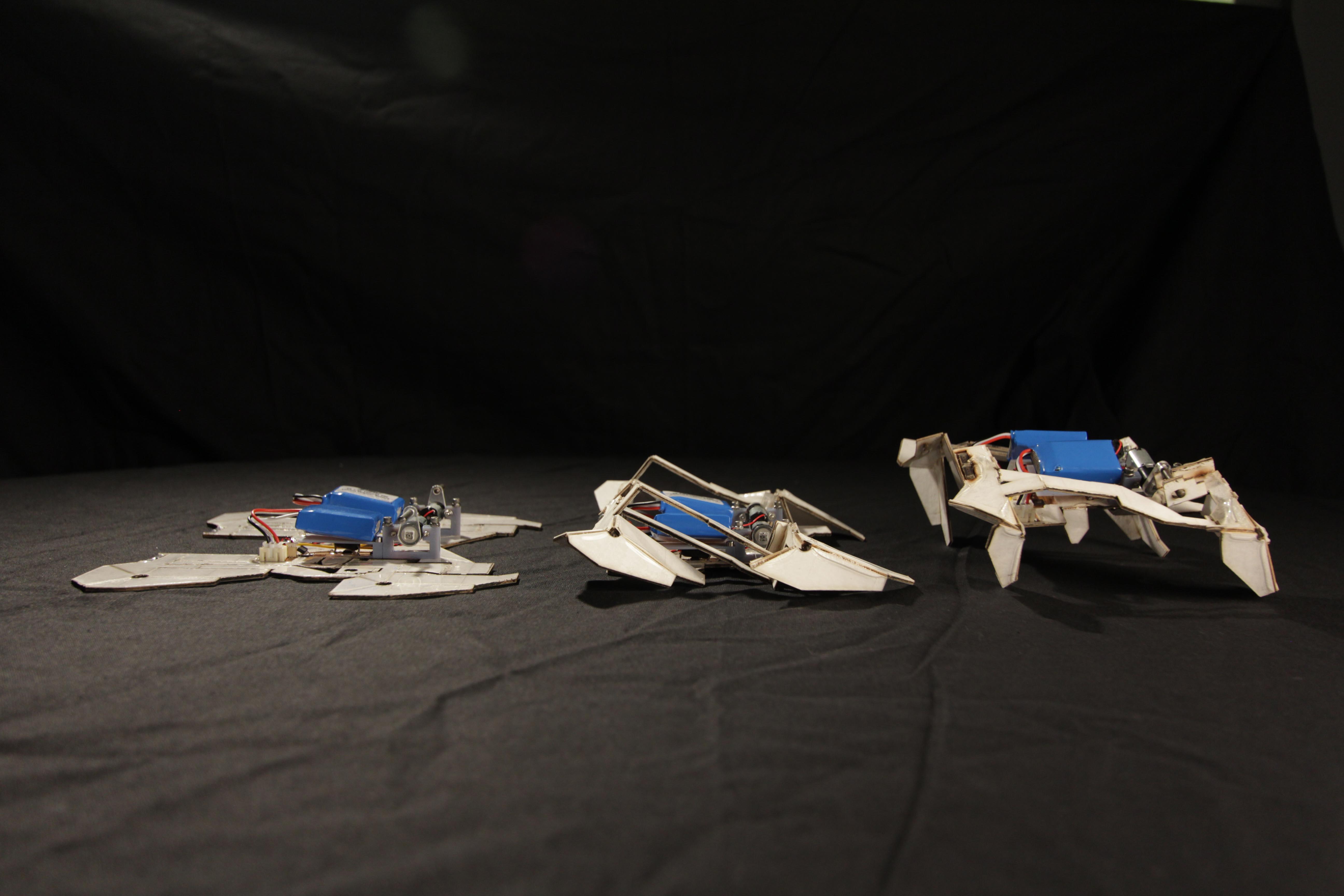 Microrobotics | Harvard Microrobotics Laboratory