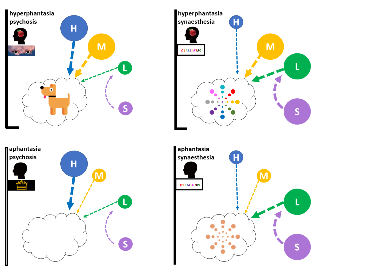 INTERACTIVE MODEL | home