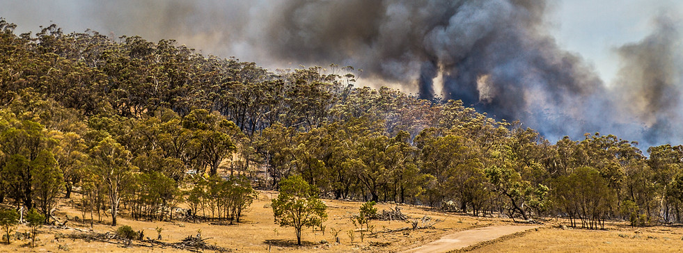 Resources | Cribb Bushfire Protection
