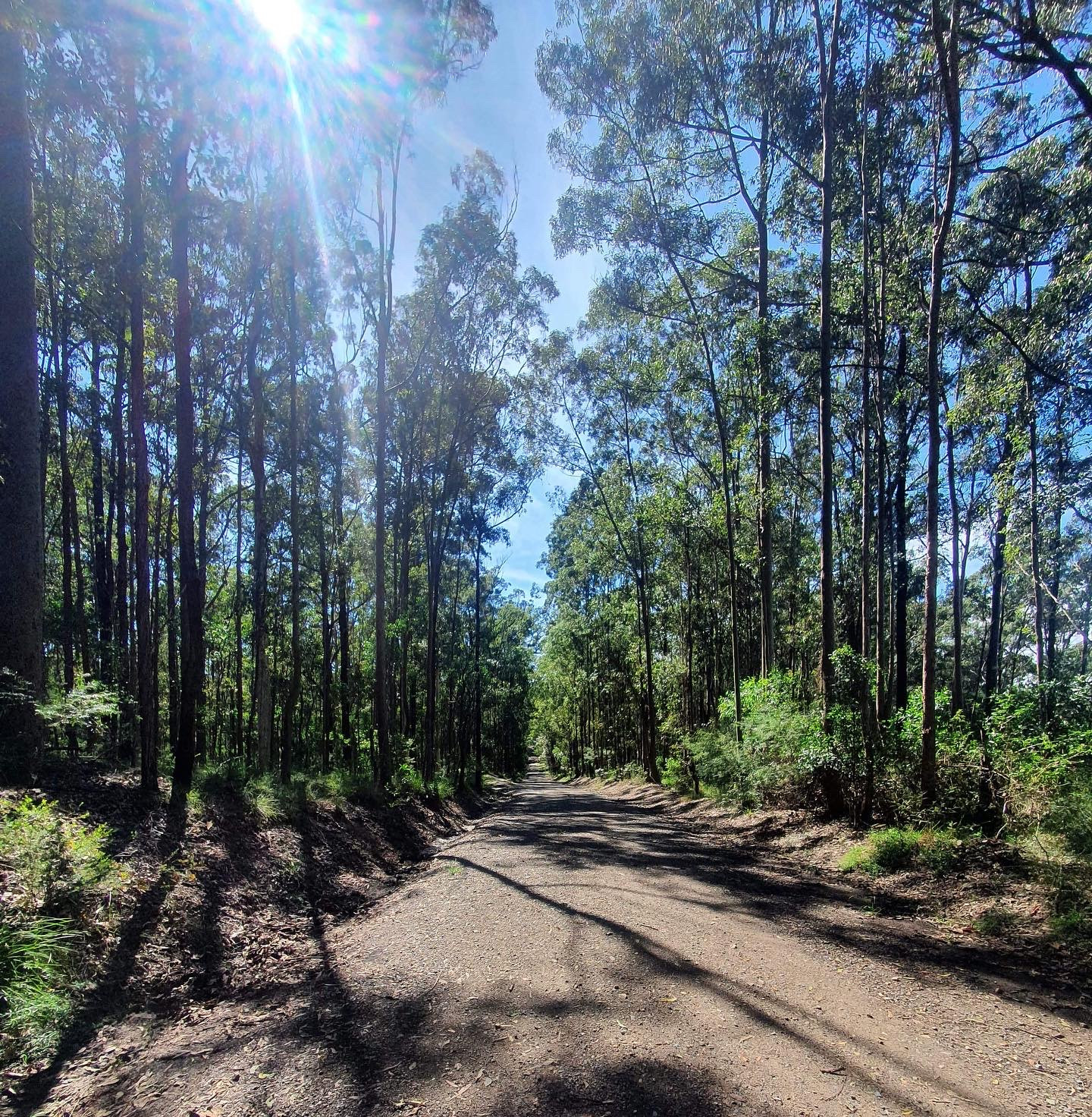 Quarry Road Track (7 KM) | A Hiker's Friend
