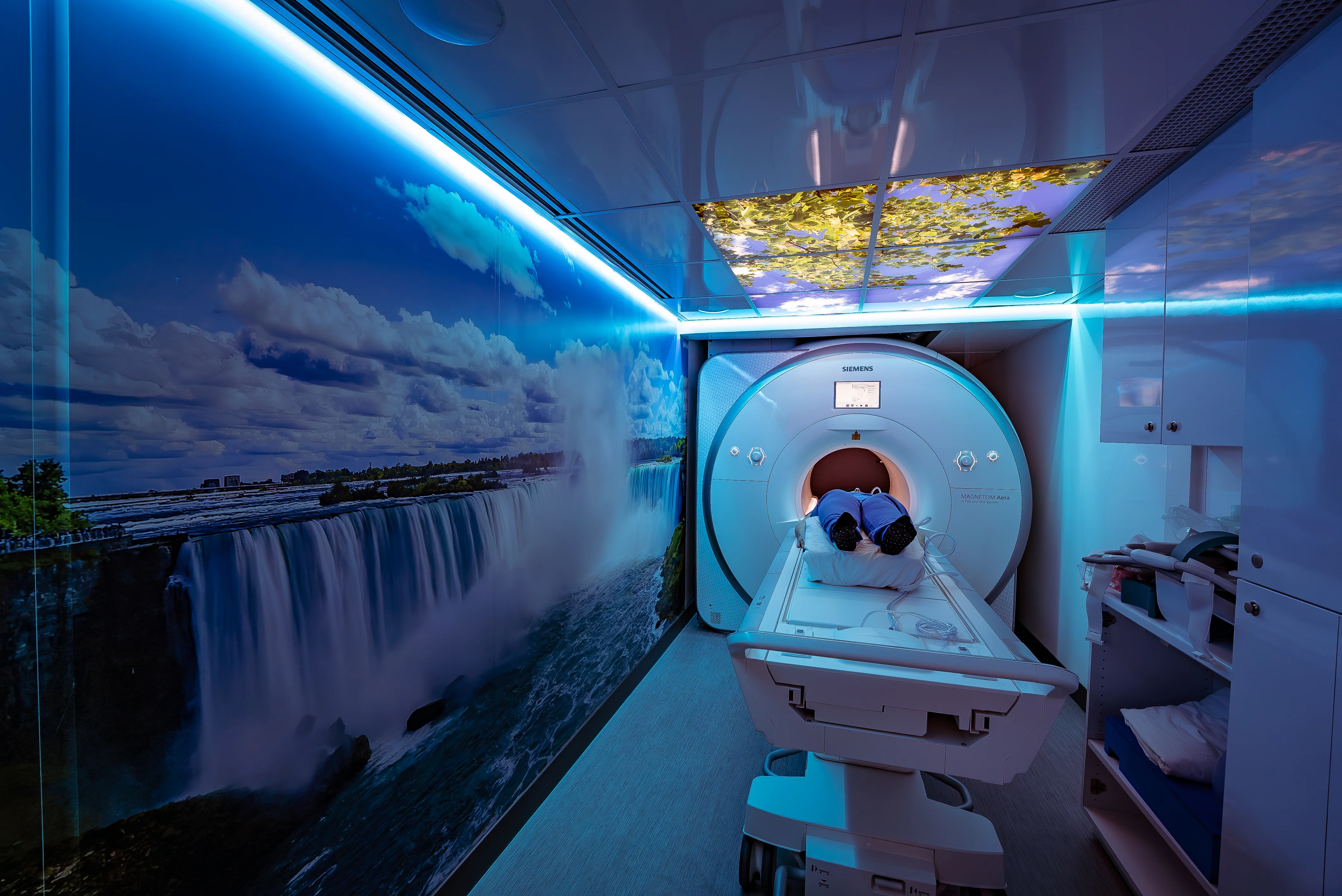 Whole Body Mri | Simply Mri | Toronto
