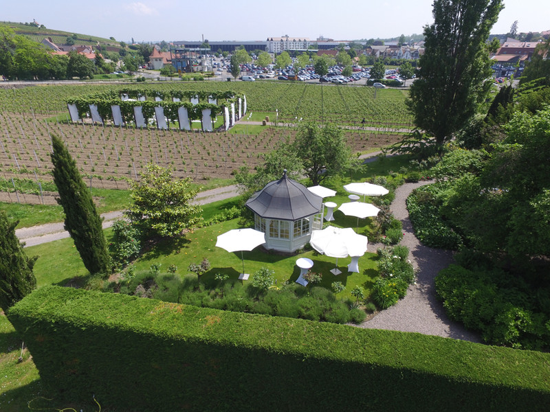 REBARENA | Fitz-Ritter