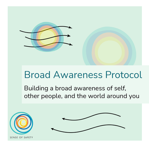 Broad Awareness Protocol | Sense of Safety